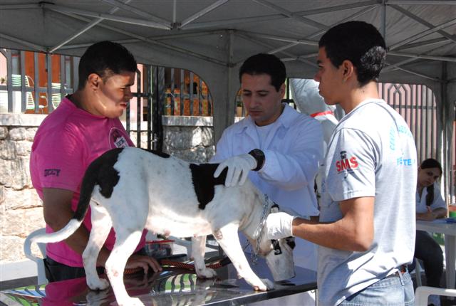 Programa de controle diagnostica 14 casos de sarna no 2º Sua Vida Melhor Ainda do ano ...